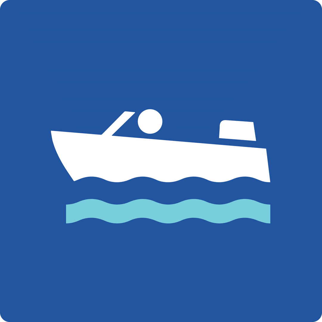 Mitten State Collections – The Mitten State