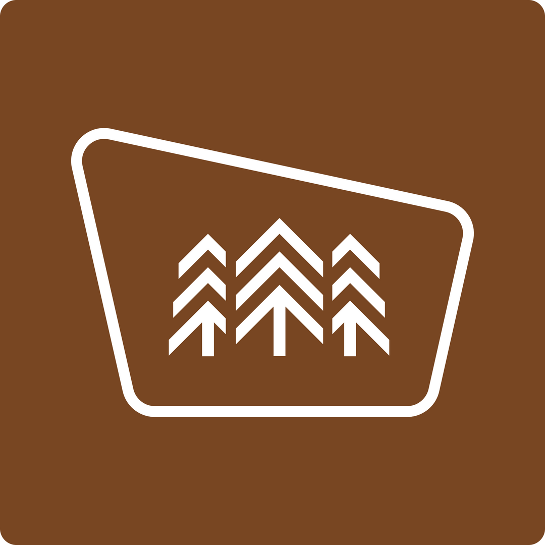 Mitten State Collections – The Mitten State