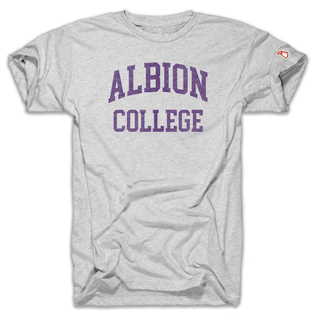 Albion - Classic Arch | The Mitten State