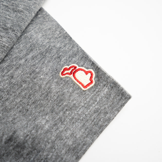 Michigan Apple | Michigan Fall | The Mitten State