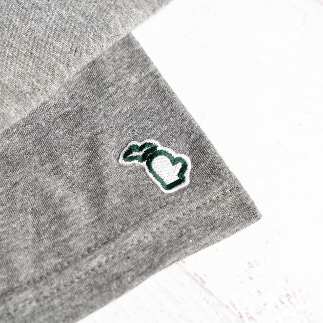 1965 | Michigan State University | The Mitten State