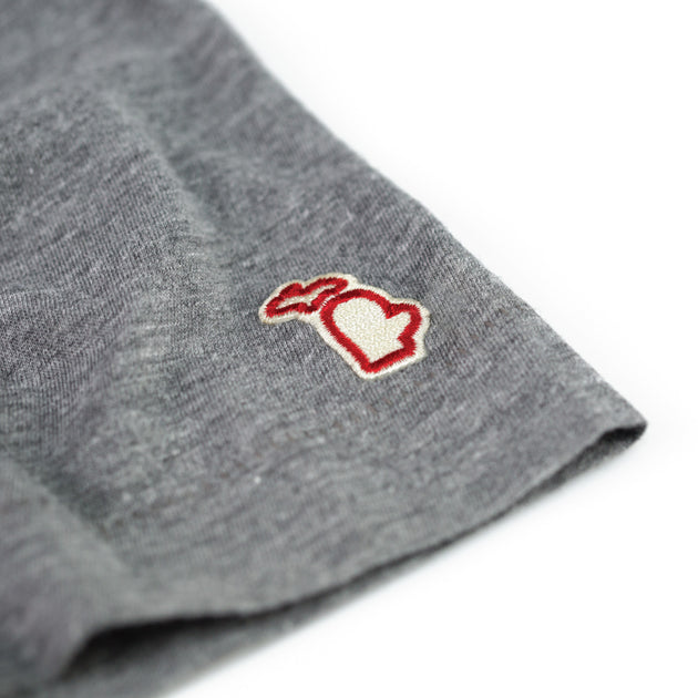 WDIV - 313 | The Mitten State